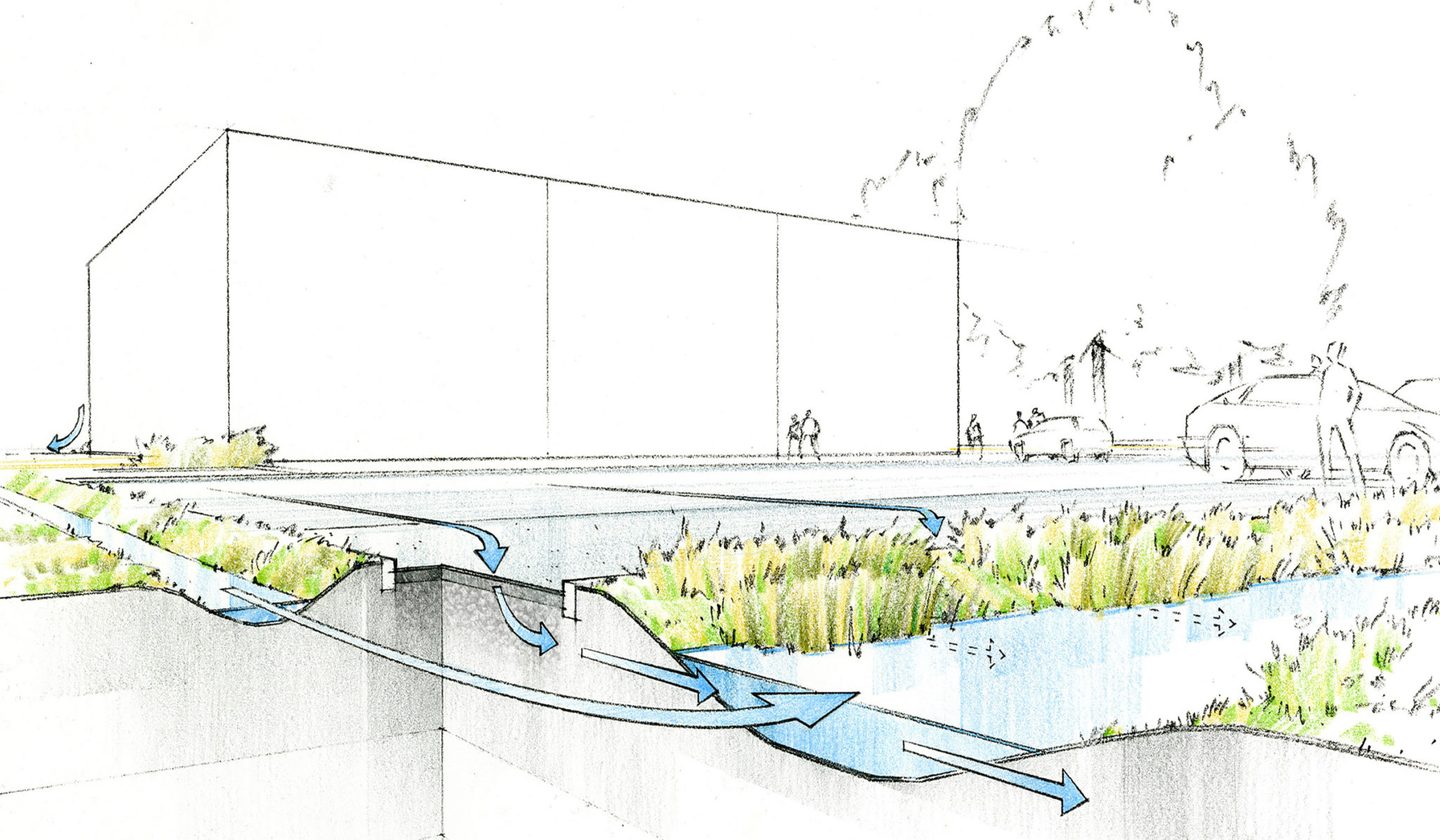 The High Impact of Low Impact Development - Clark Nexsen