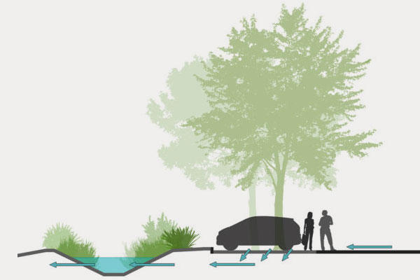 Low Impact Development Examples